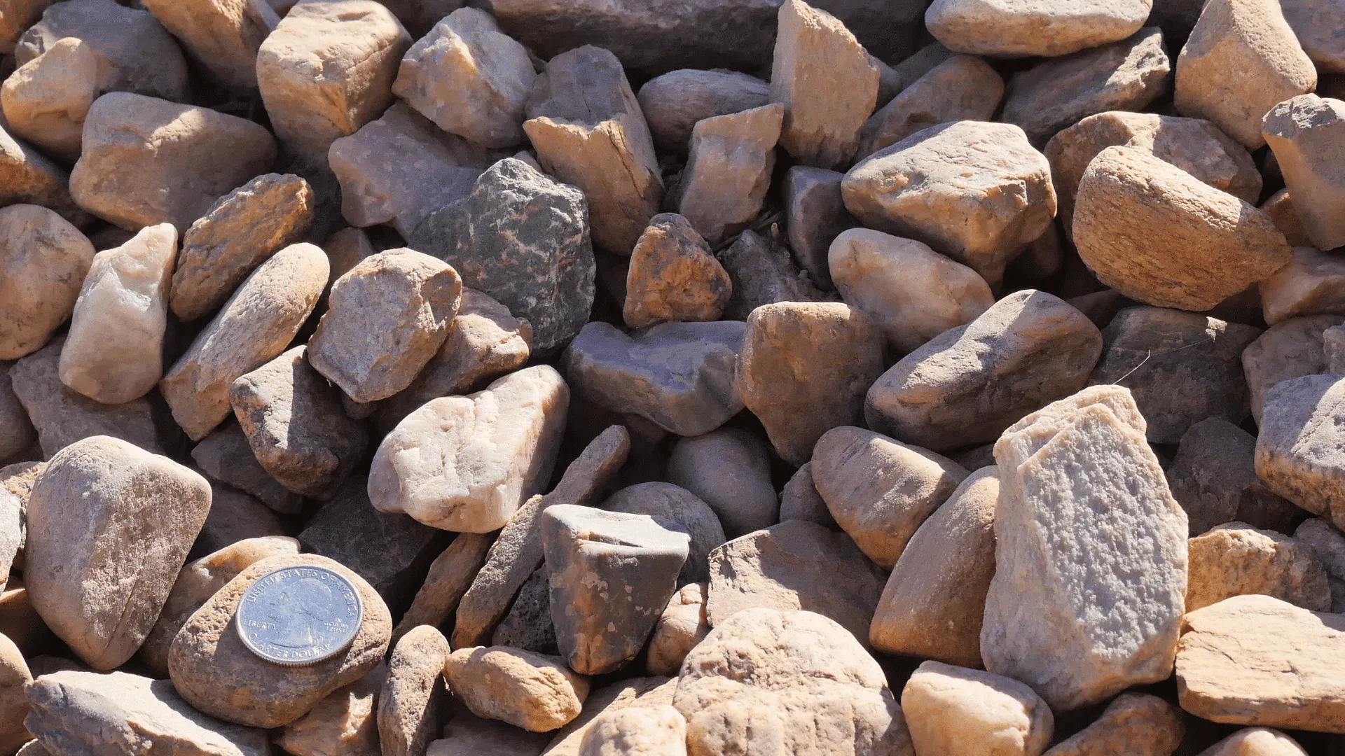 Buildology Landscaping Supply Store - Landscaping Supply Store in New ...