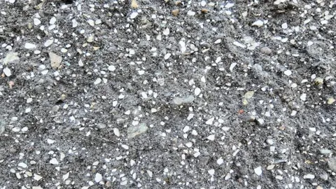 12" Split Face Block - Buildology