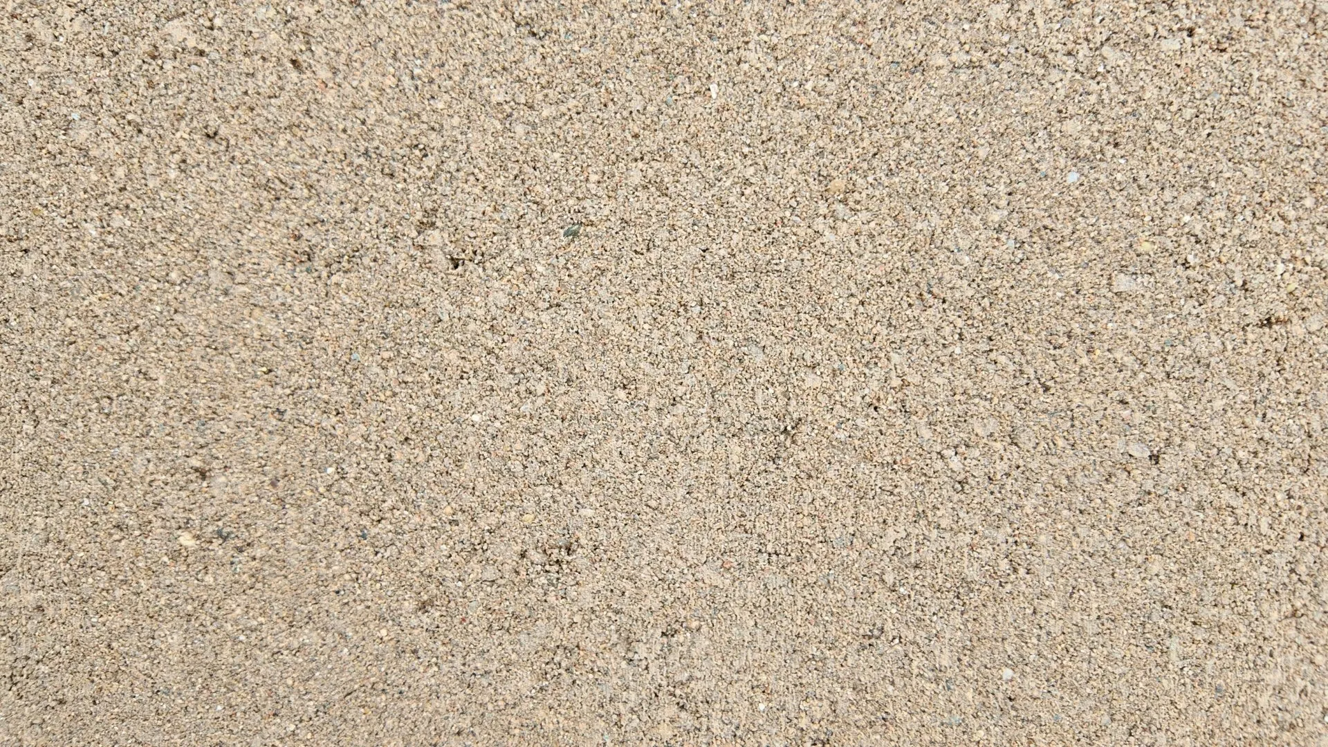 10" Standard Block - Buildology